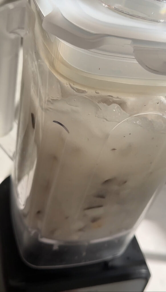 How to Make Coconut Milk at Home: A Step-by-Step Guide - Jerk Tavern