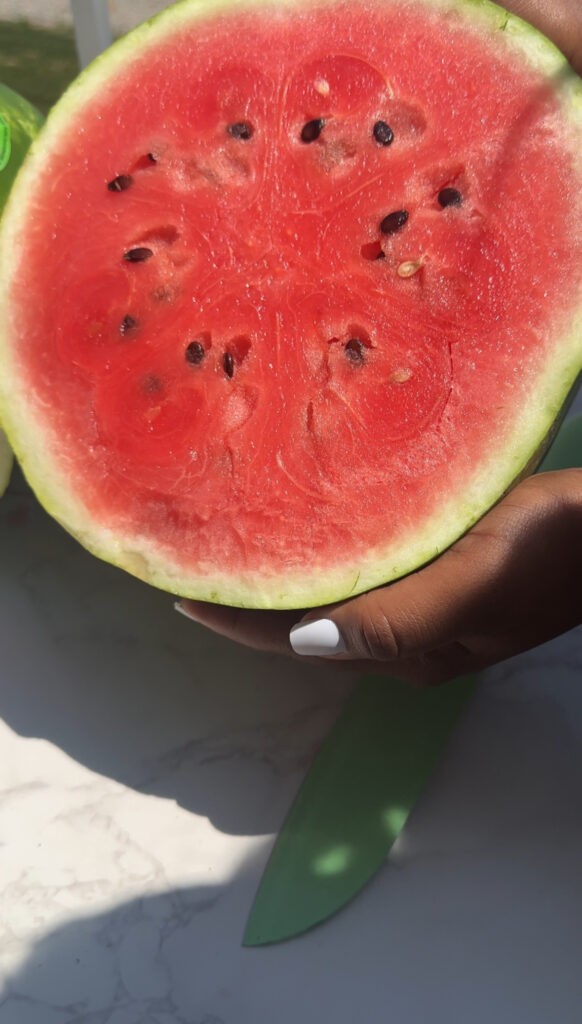 Watermelon Rum Punch Recipe - Jerk Tavern